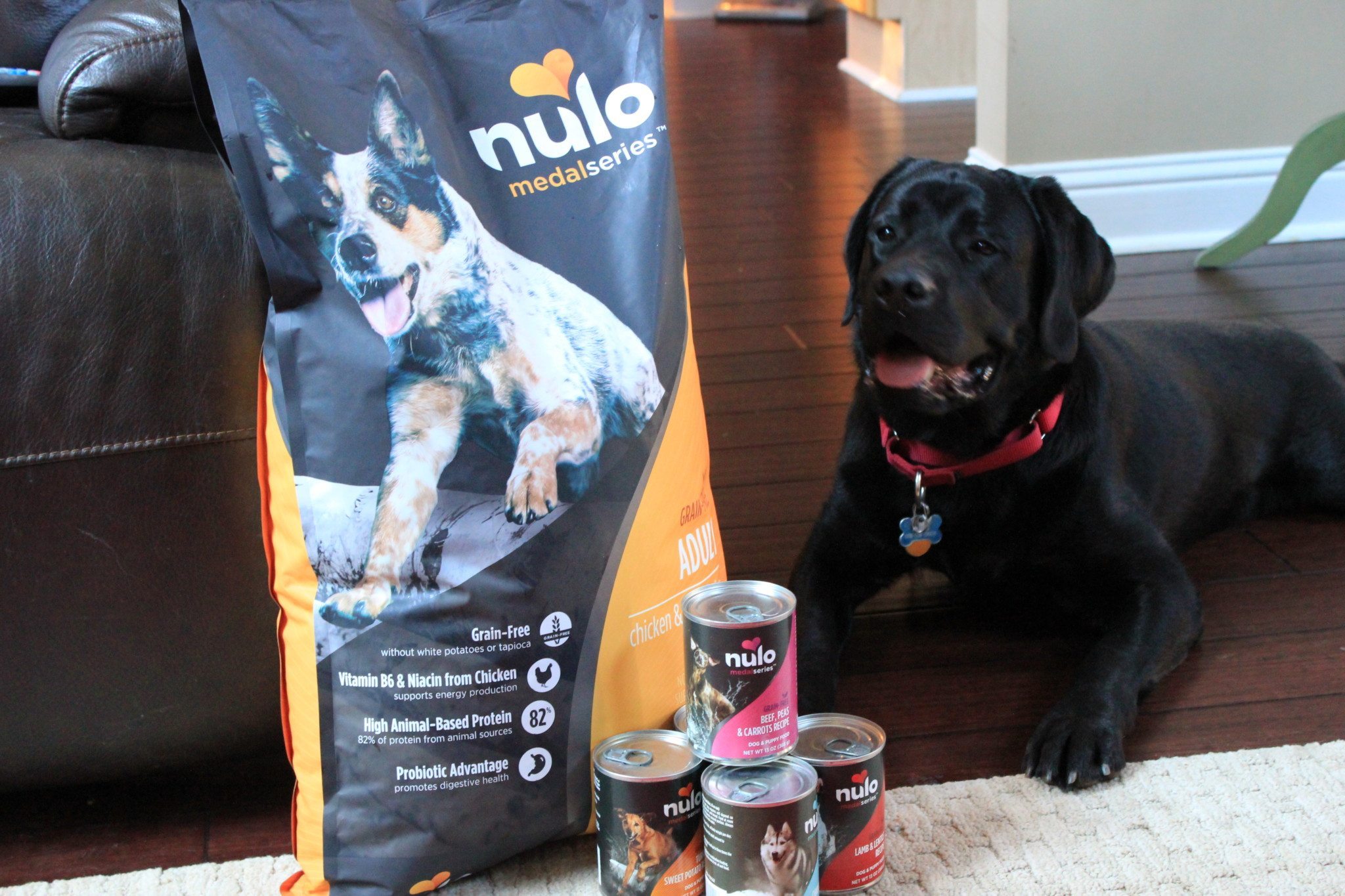 Nulo Dog Food Review - Be #HealthierTogether With Your Canine Friend