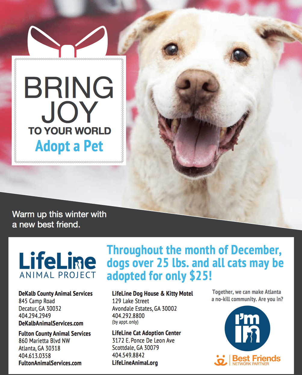 Give Joy - Holiday Pet Adoption Promotion - Adopt Don't Shop