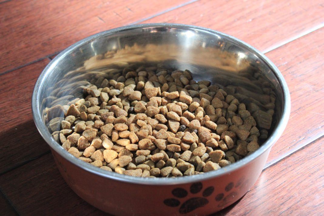 Here's Why The Clean Label Project's Best and Worst Pet Food Results ...